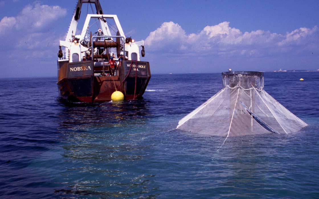 Offshore aquaculture offers promise, may avoid conflict - Island Institute