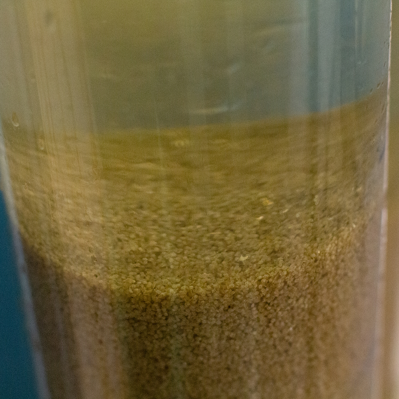 Mook Sea Farm’s Solar and Energy Efficient Pump System - Island Institute