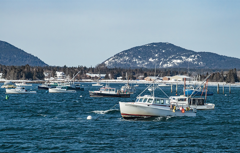 Island Institute - Strengthening Communities