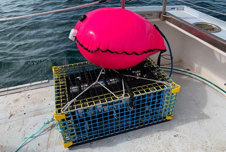Is ropeless fishing ready for prime time? - Island Institute