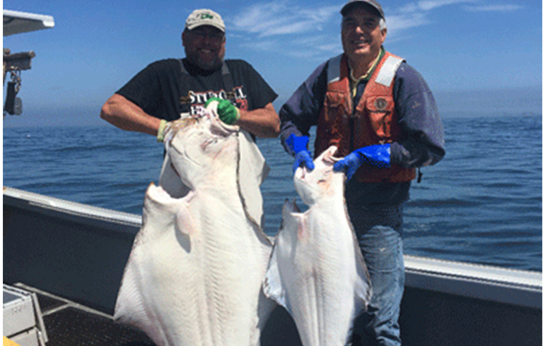 Halibut—a huge, thrilling, and tasty fish - Island Institute