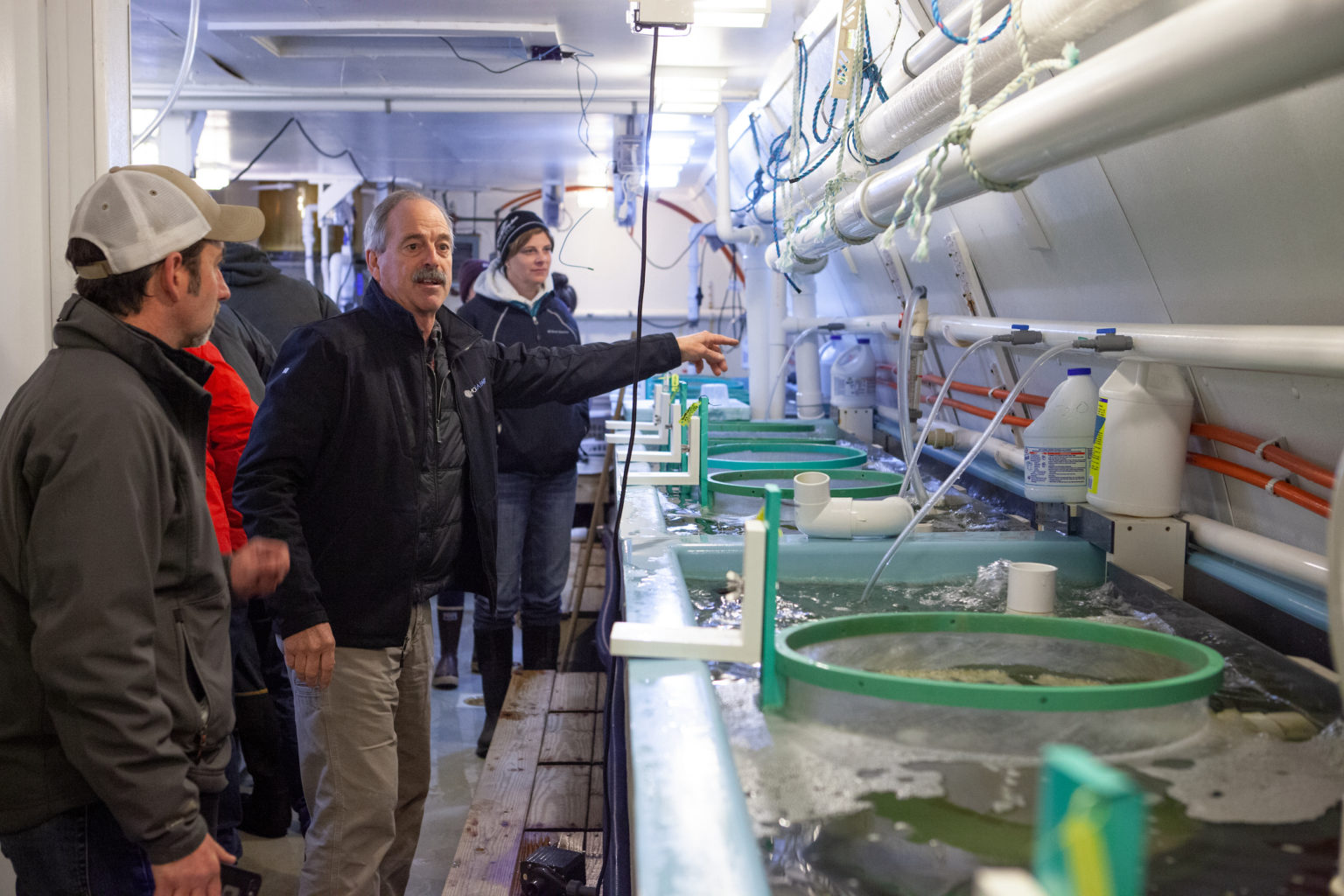 Celebrating National Oyster Day - Island Institute