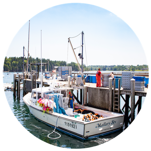 Island Institute - Building Community from the Sea Up