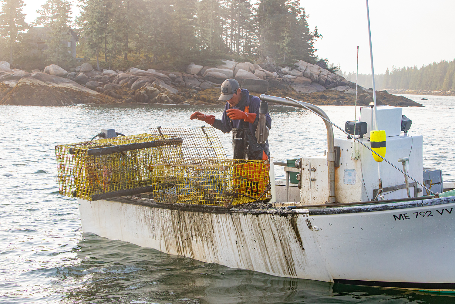 Different Bays, Similar Spirit - Island Institute