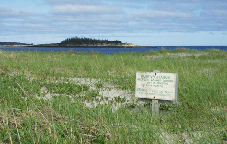 Island Institute - Building Community from the Sea Up