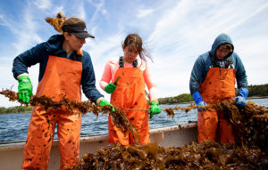 Island Institute - Building Community from the Sea Up