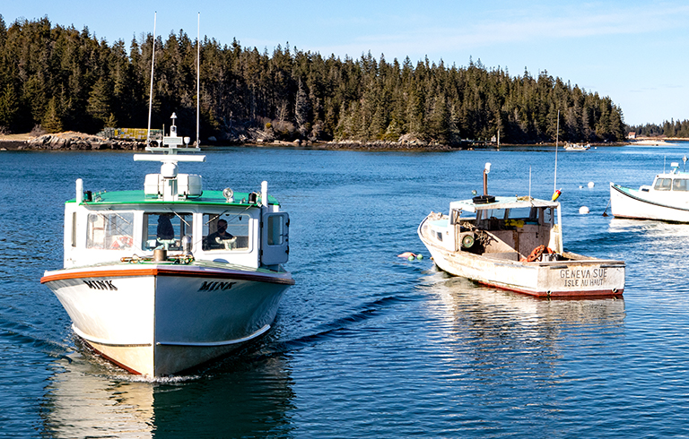 About Us - Island Institute