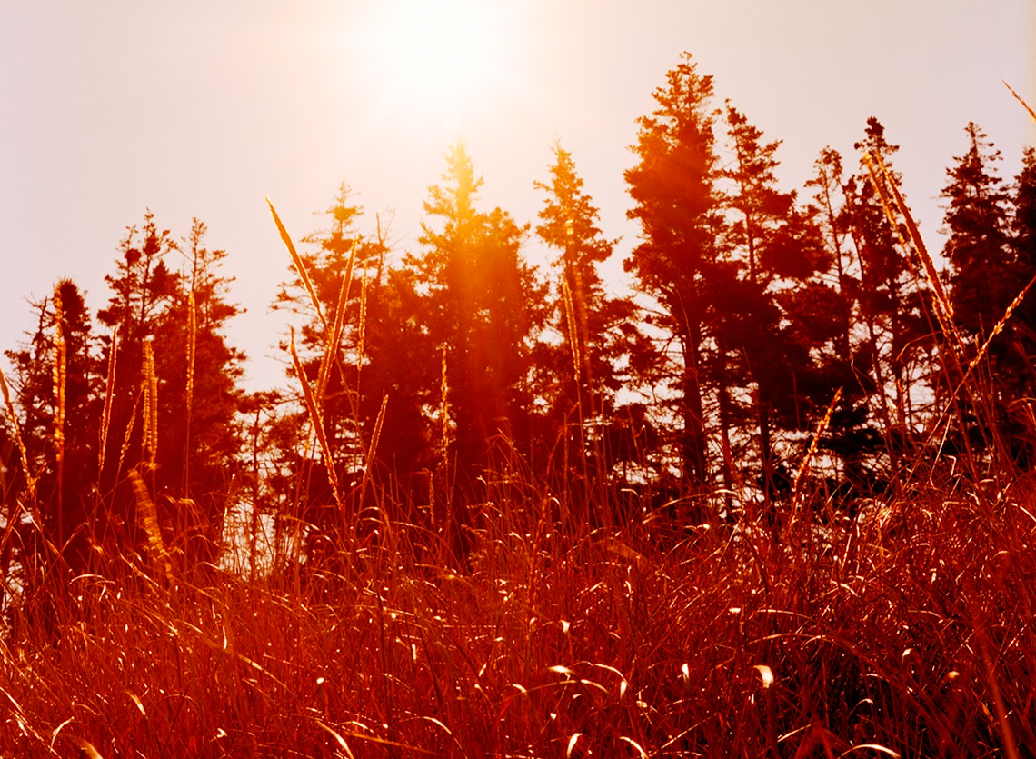 SHANE CHARLES: WAITING FOR THE SUN TO RISE - Island Institute