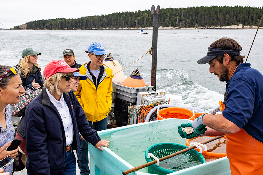 A behind-the-scenes look at Maine’s growing scallop farming industry ...