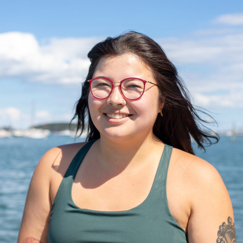 When high standards can stand in the way - Island Institute