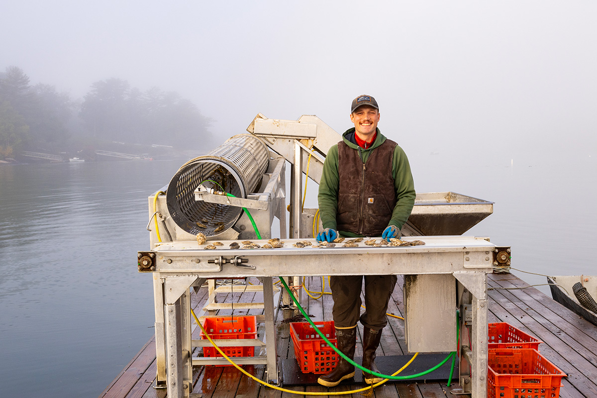 Stories of Impact: Bombazine Oysters (formerly Ferda Farms) - Island ...