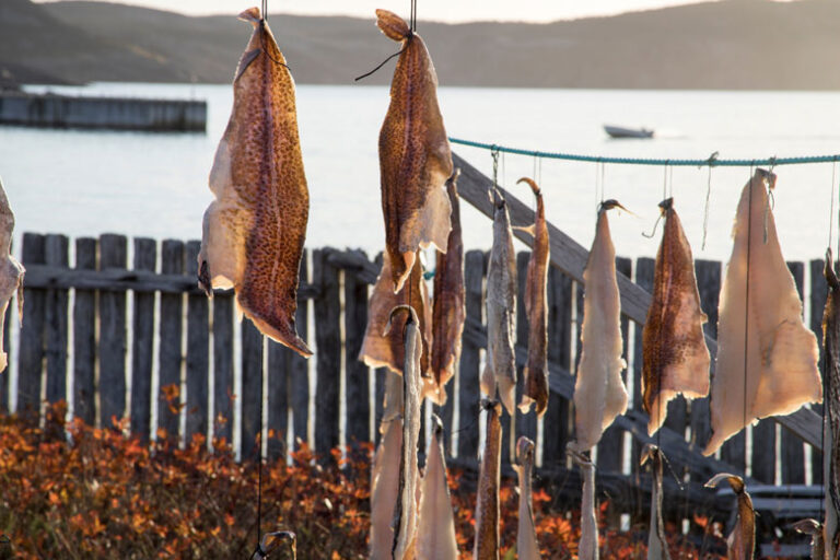 How Newfoundland fishermen protected their own - Island Institute