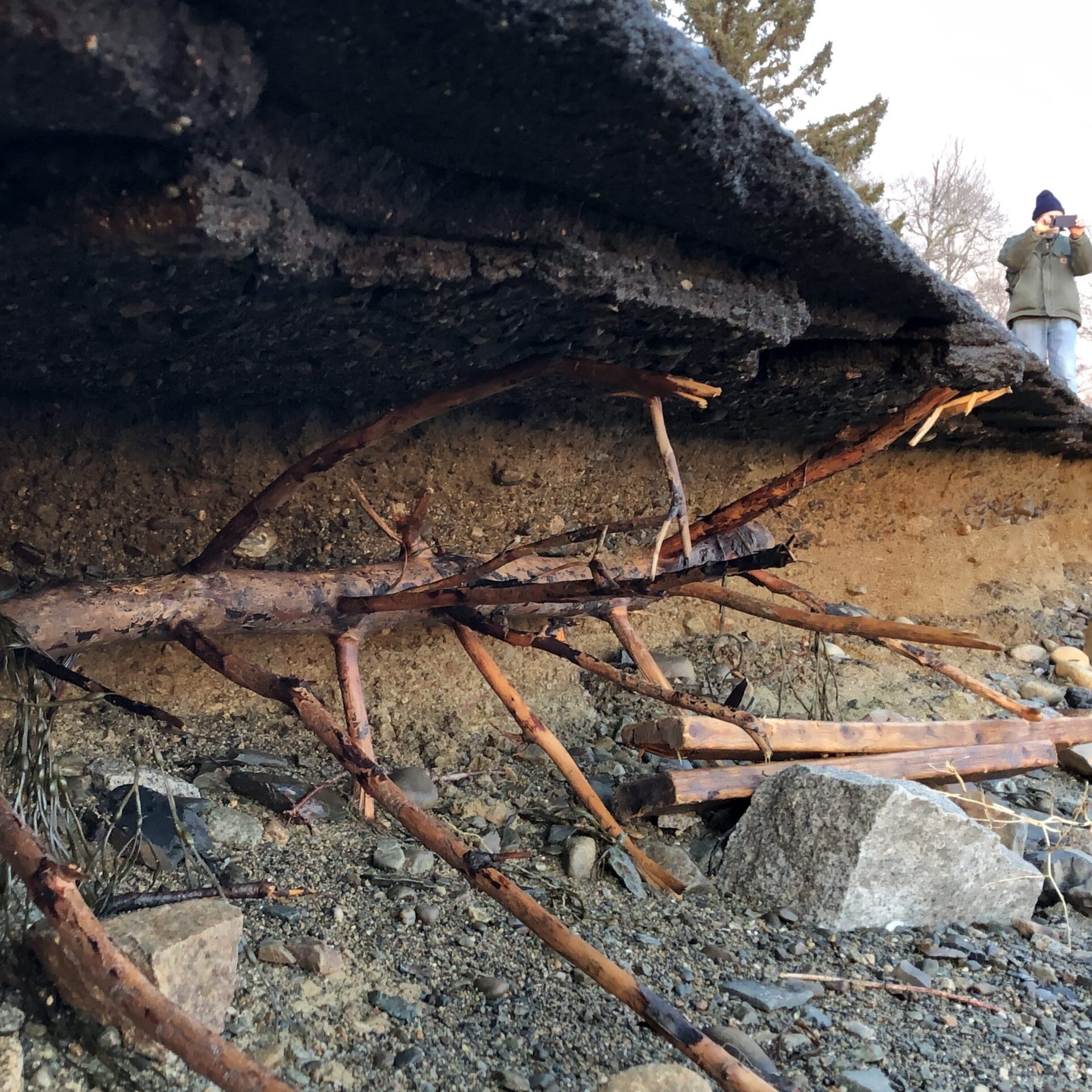 Fellows Secure Major Grants for Island & Coastal Communities - Island ...