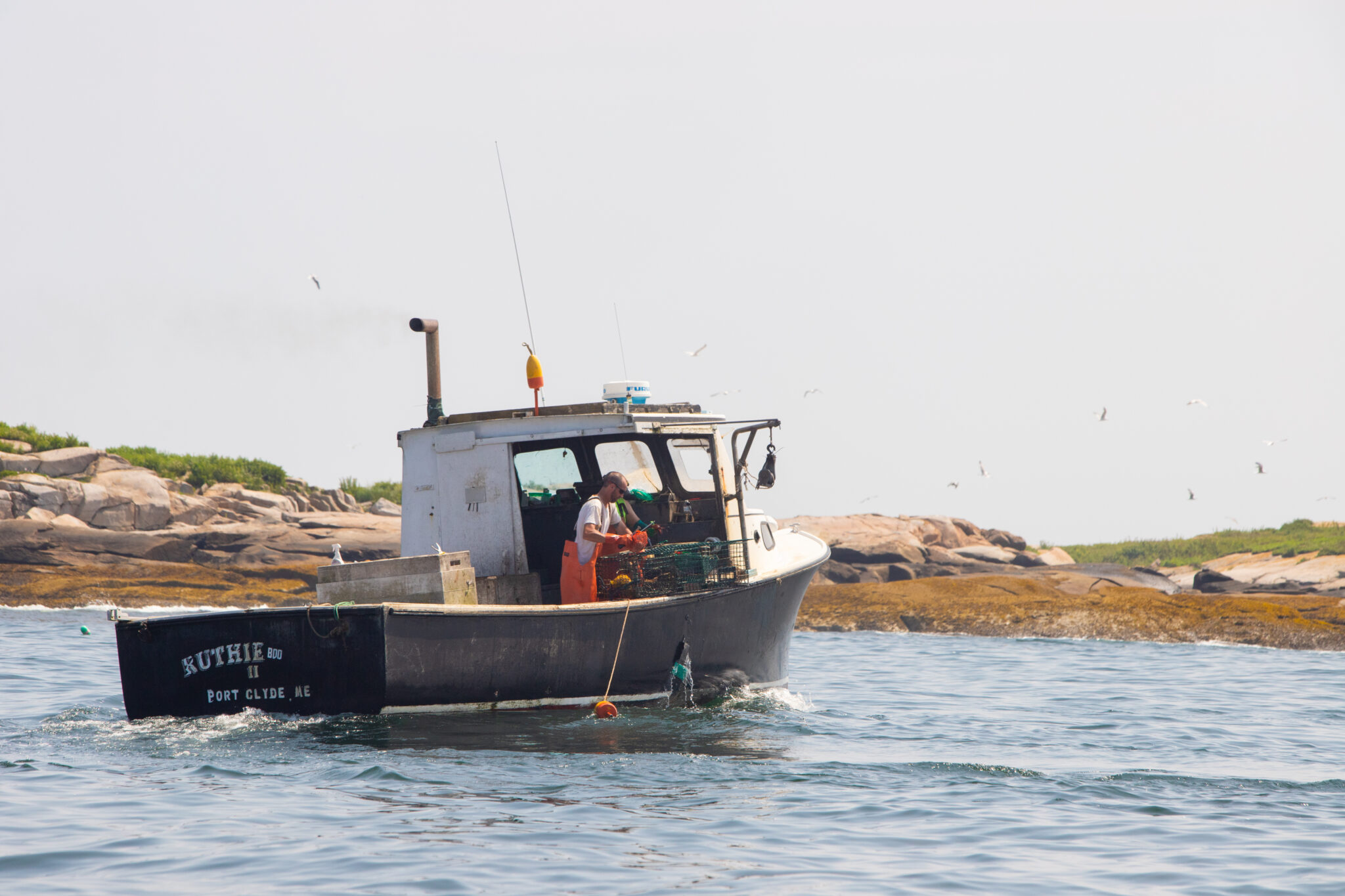 Island Institute and Maine Center for Entrepreneurs Partner to Launch ...