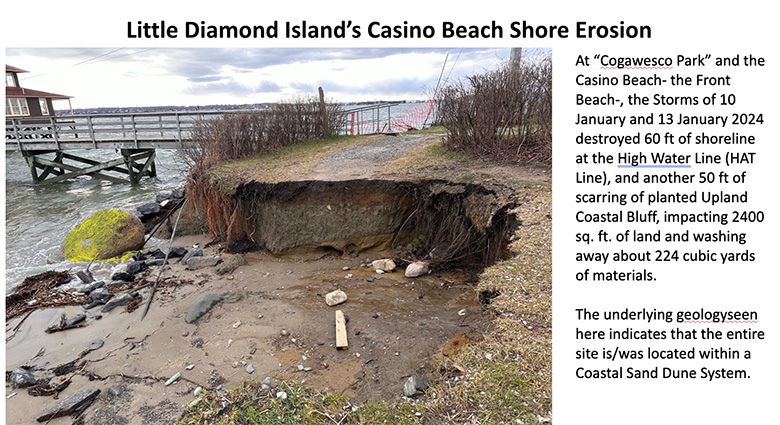 Saving a Little Diamond shore - Island Institute