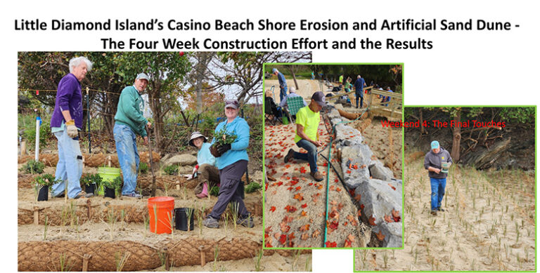 Saving a Little Diamond shore - Island Institute