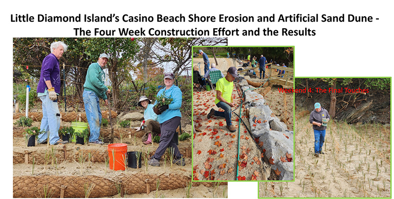 Saving a Little Diamond shore - Island Institute
