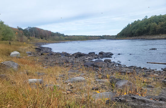 How Wabanaki access to sea run fish is changing - Island Institute