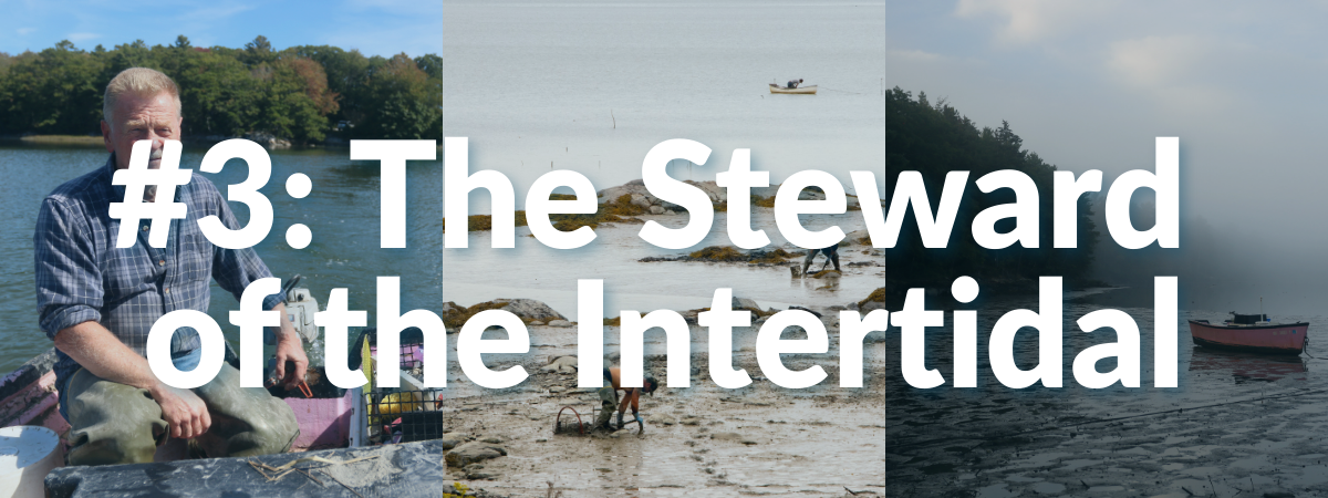 Our Top Five Stories of 2025 - Island Institute